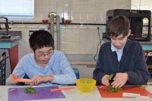 Food Exploration at PCA - Portsmouth Christian Academy
